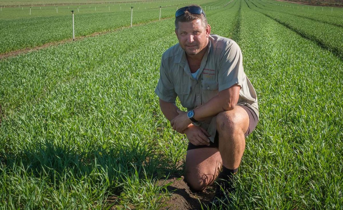 From Croatia to Australia: The journey of the Ivankovich family - AUSVEG