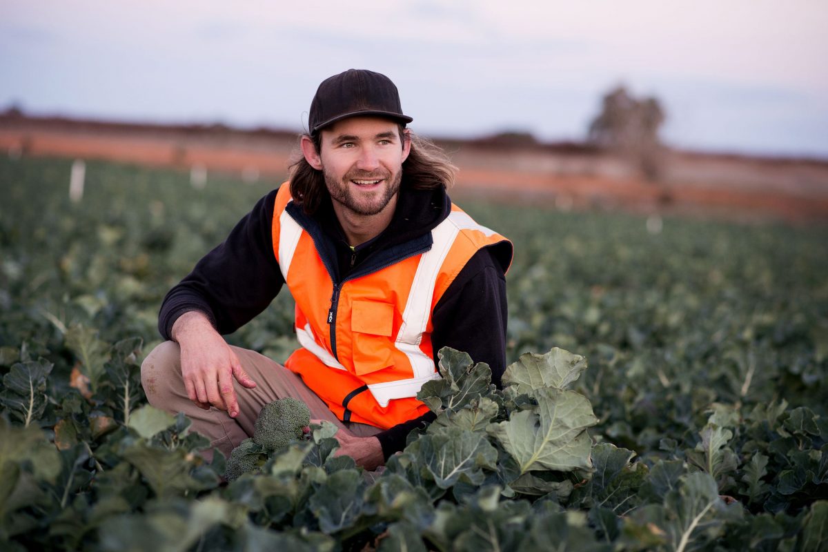 Andrew Braham: Setting the pace for industry innovation - AUSVEG