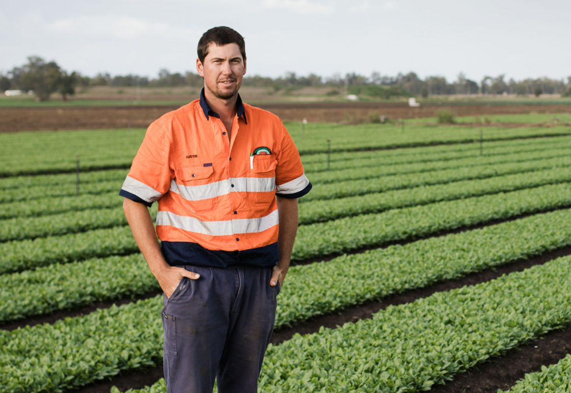 Austin Lenord: A spinach star on the rise - AUSVEG