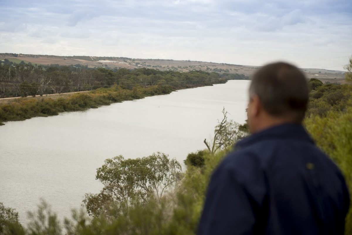 James Zadow: Continuing over a century of family farming - AUSVEG