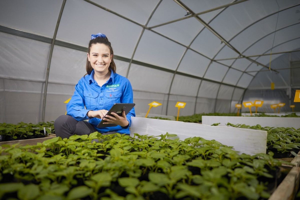 Nellie Malseed: An opportunity to suc-seed - AUSVEG