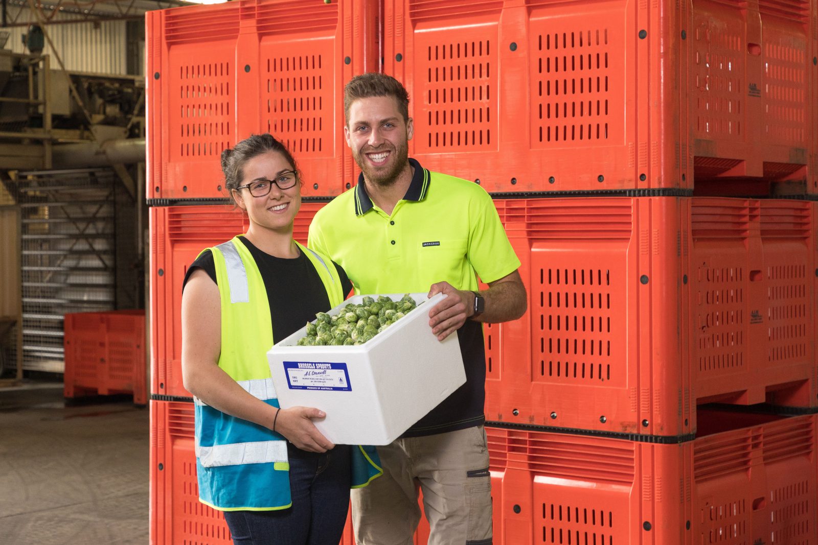Erin and Josh Cranwell: Young sprouts in SA - AUSVEG