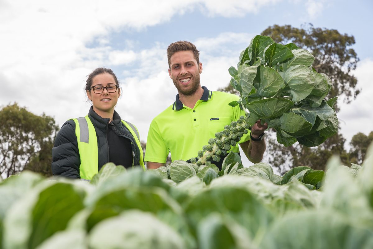Catherine Velisha: Business owner on the rise - AUSVEG