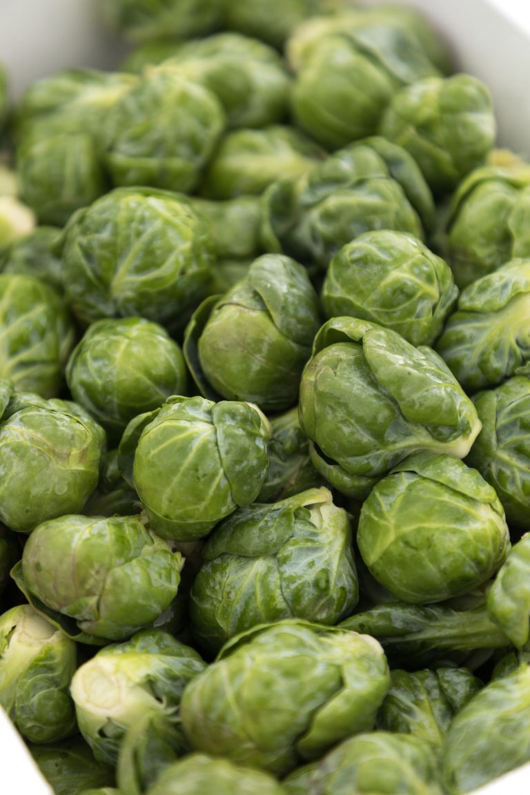 Erin and Josh Cranwell: Young sprouts in SA - AUSVEG