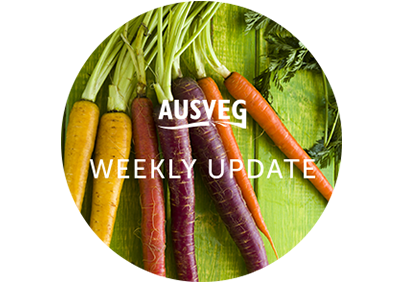 AUSVEG | Industry Representative Body For Vegetable and Potato Growers
