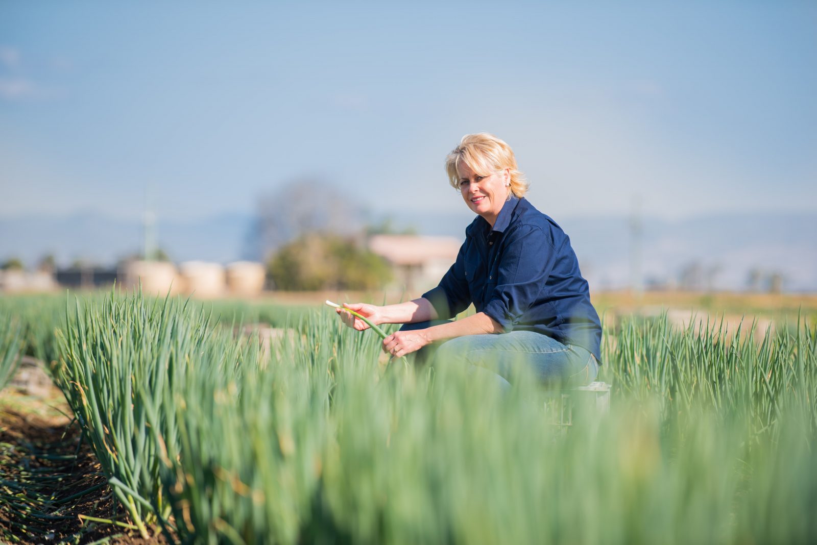 From city to farm: Janne Dipple brings a new perspective to ...