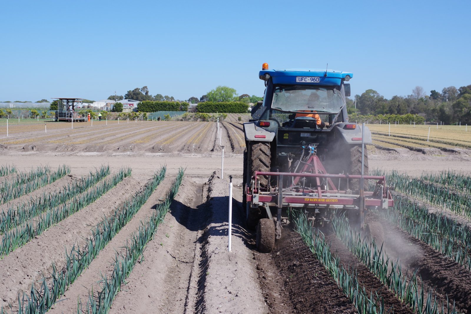 Assessing the economic impact of weeds in Australian vegetable ...