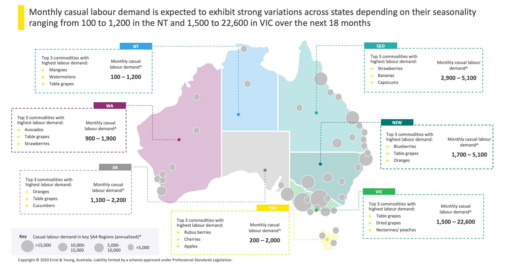Seasonal horticulture labour shortages predicted to reach 26,000 | AUSVEG