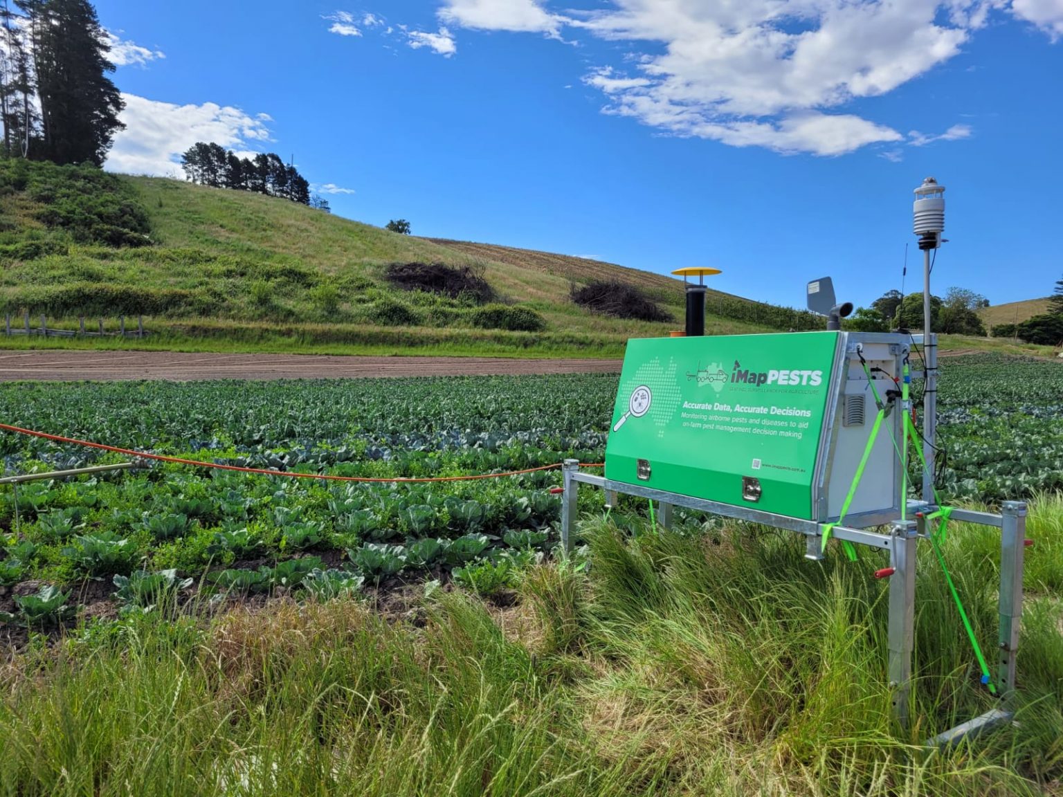 Adelaide Hills alive & buzzing with two mobile plant pest surveillance ...