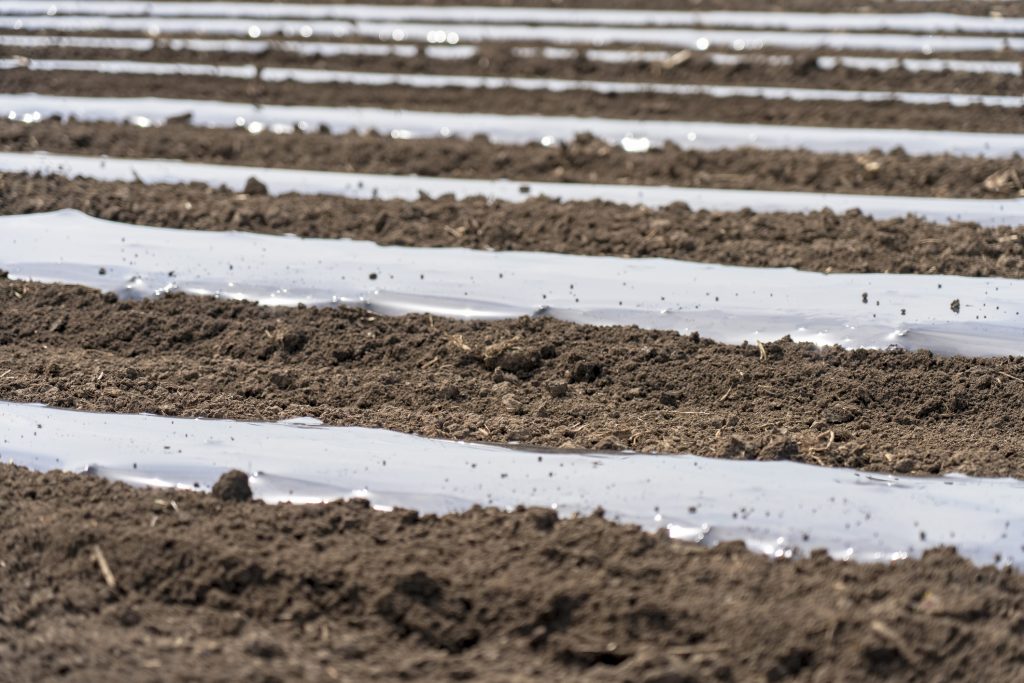 Conquering on-farm plastic waste in Australian agriculture | AUSVEG