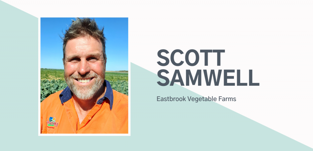 Reflecting on past achievements: Scott Samwell - AUSVEG