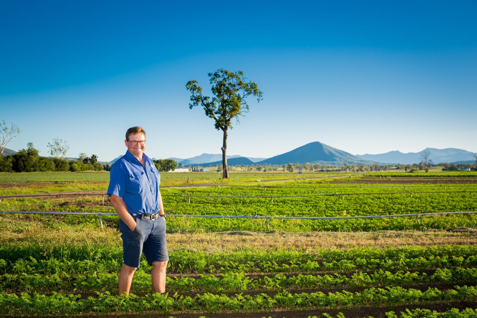 In conversation with… Robert Hinrichsen - AUSVEG