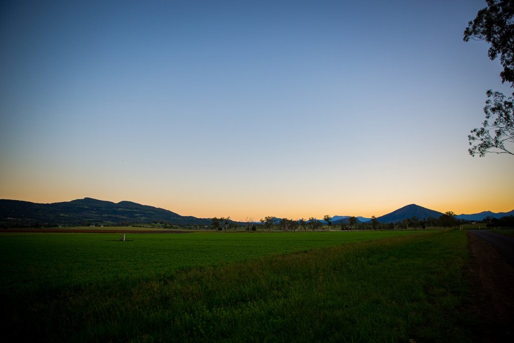 In conversation with… Robert Hinrichsen - AUSVEG
