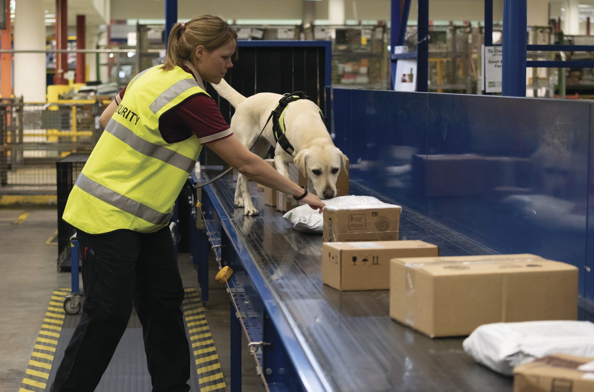 Inspecting the front line of Australia’s border security | AUSVEG