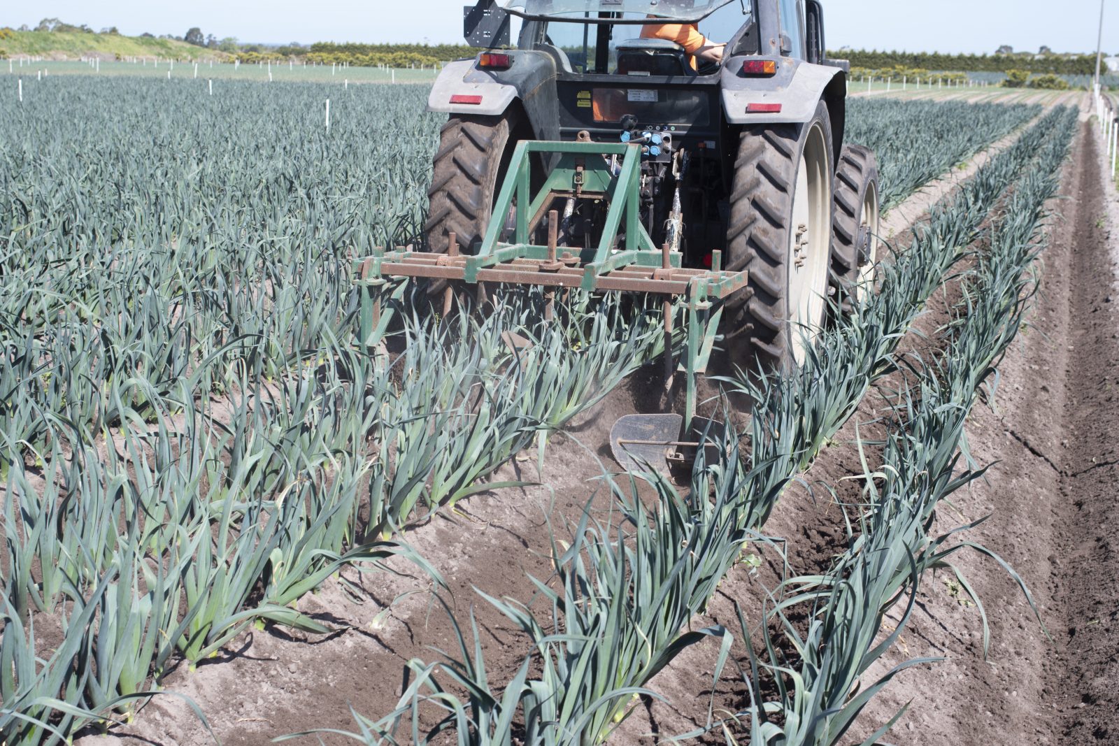 Weed seed bank management using stale seed beds and inter-row ...