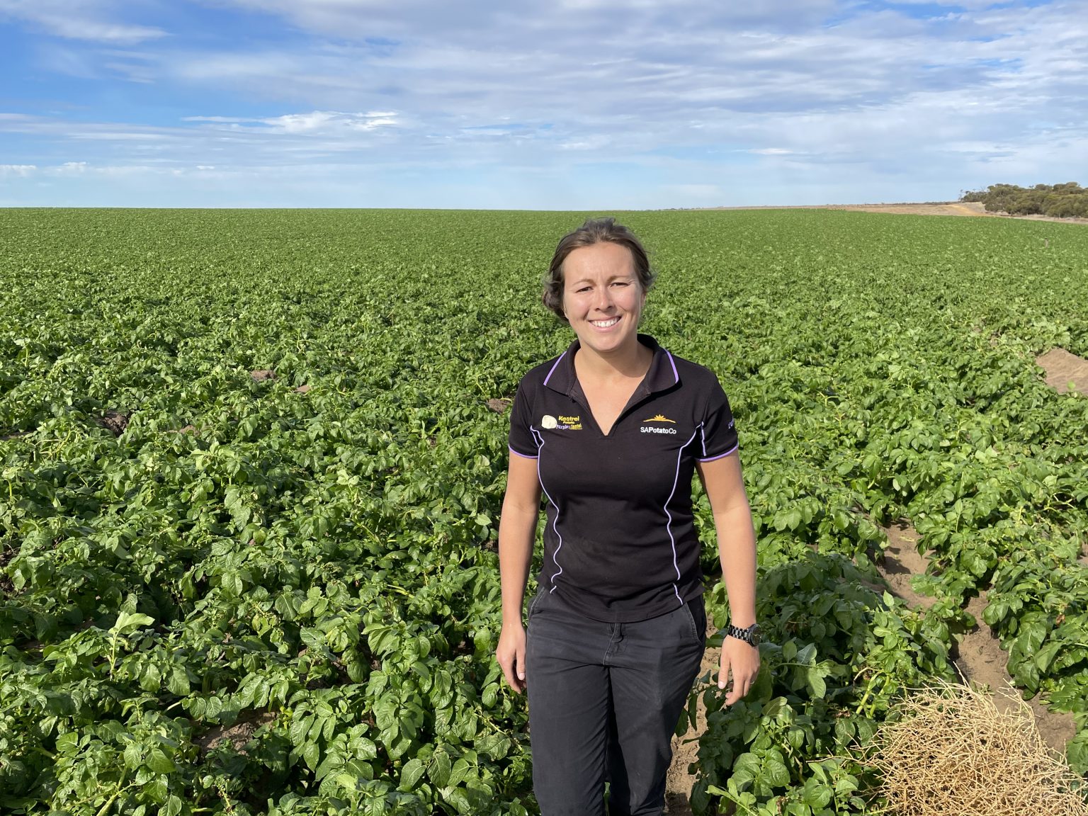 Nicole Stevens: A rising potato industry star - AUSVEG