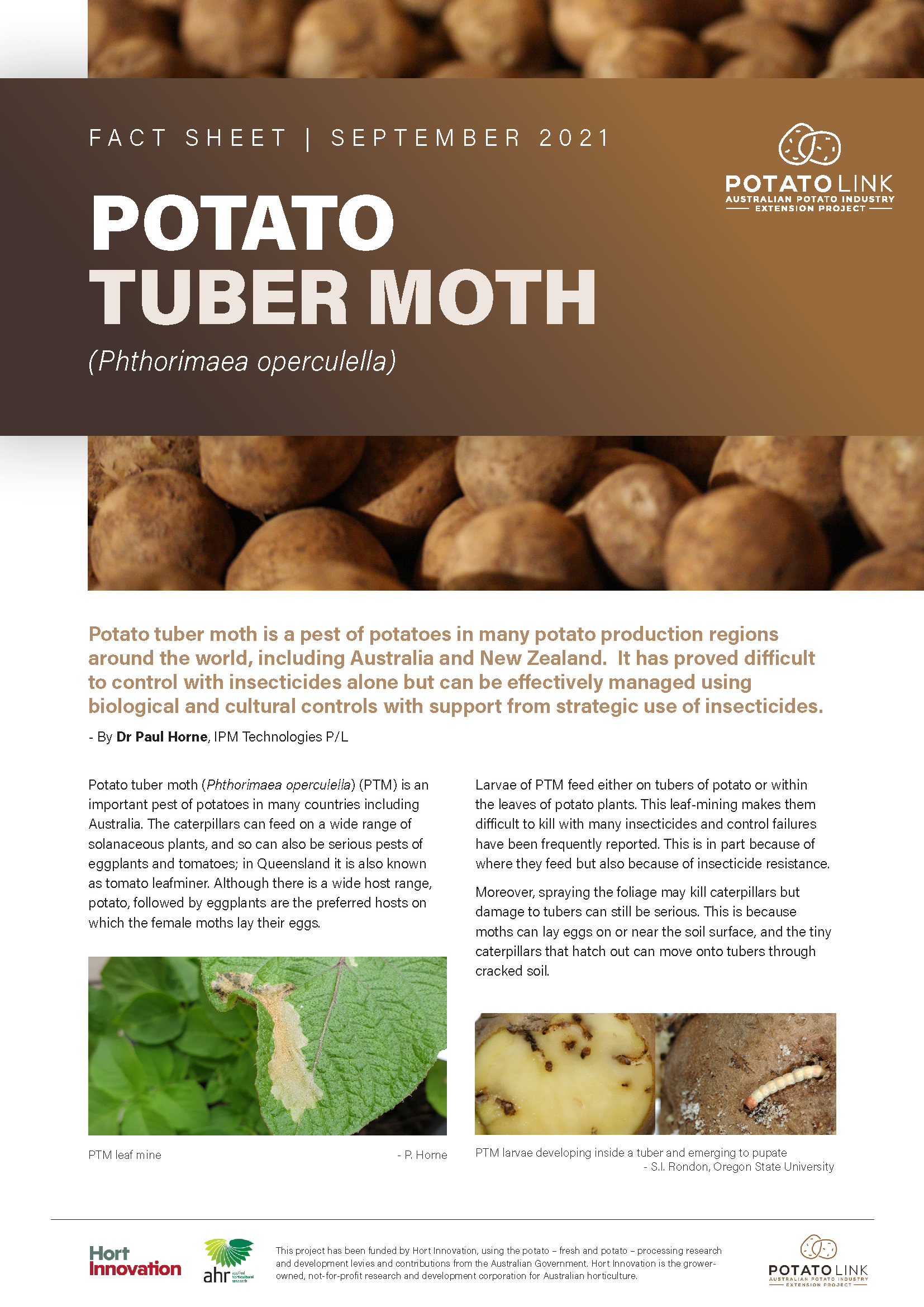 Potato fact sheet: Tuber moth - AUSVEG