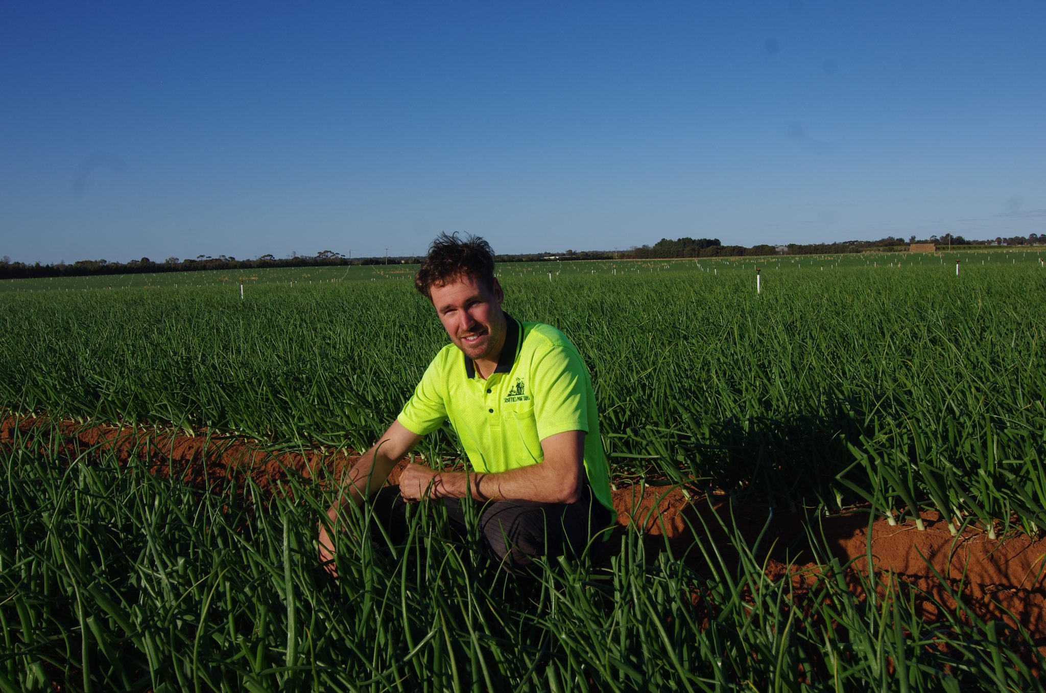 Ryan Shadbolt: Growing an accomplished family business - AUSVEG