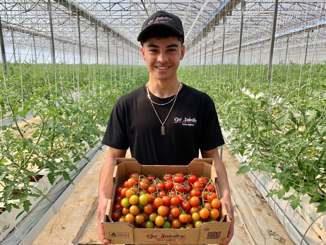 Introducing Salvatore Sacca - AUSVEG