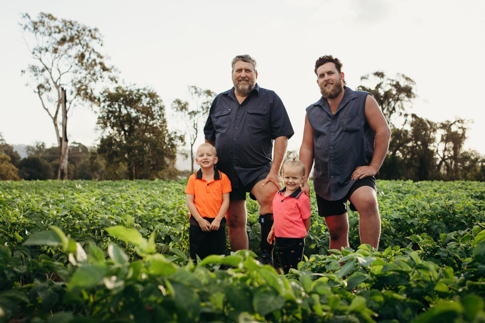 Continuing over six decades of family farming tradition - AUSVEG