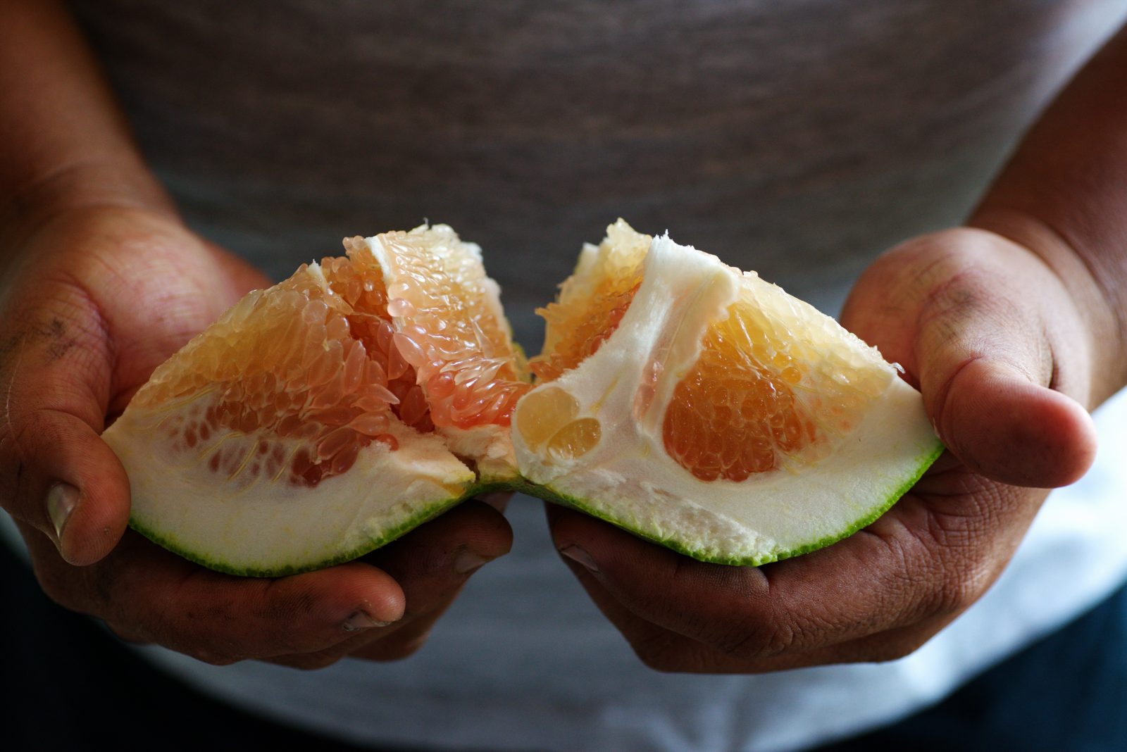 Han Shiong Siah: Building a successful tropical fruit growing operation ...