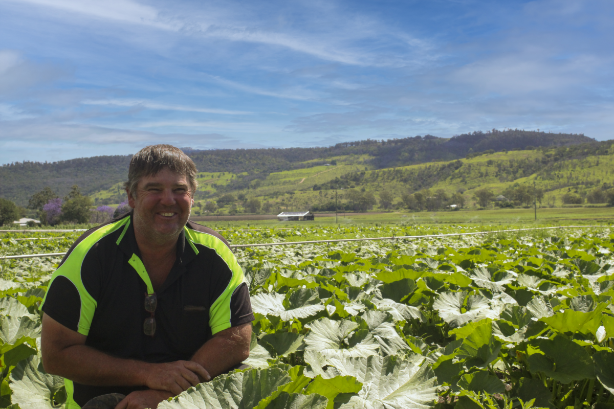 Overcoming pandemic challenges with Growcom’s Fair Farms - AUSVEG