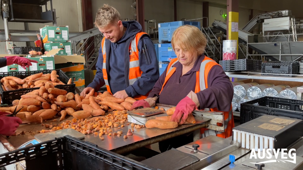 Shining a light on careers in Australian horticulture - AUSVEG
