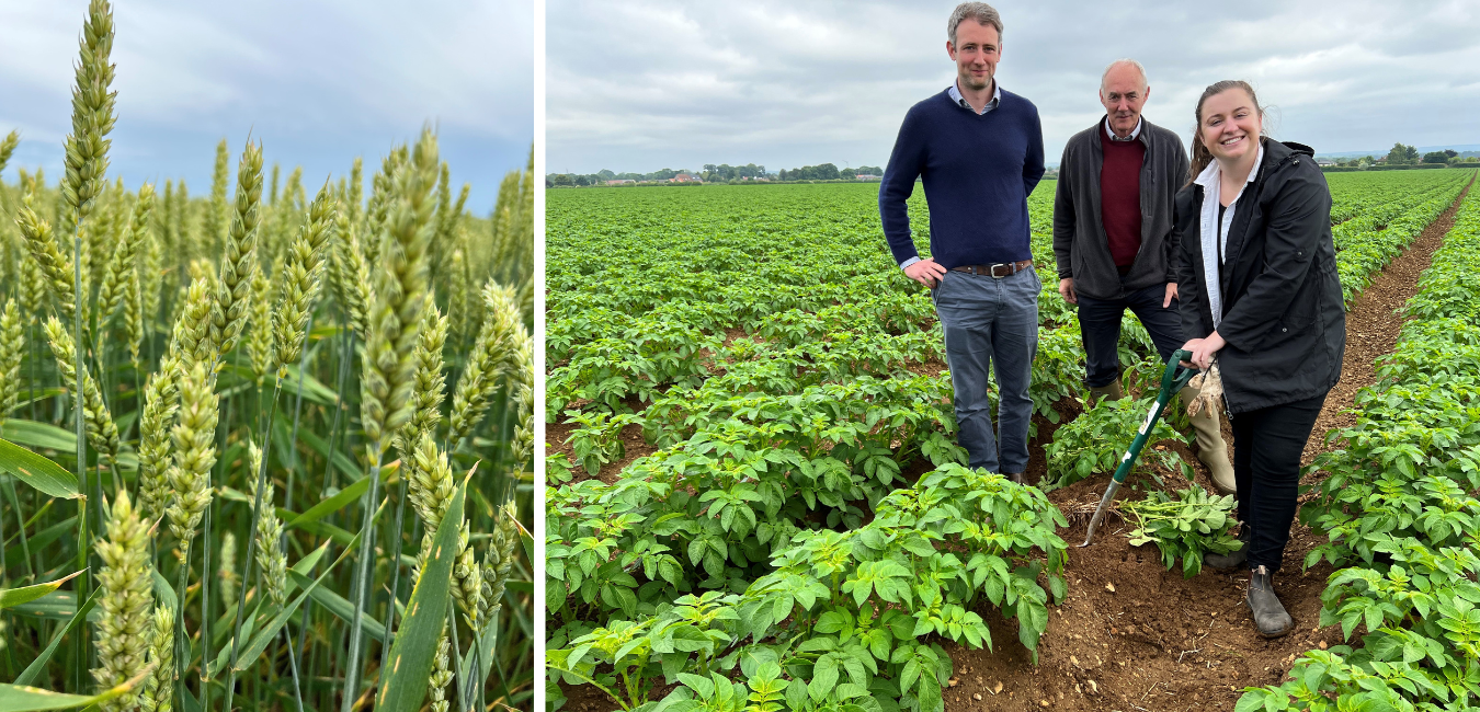 International Farm Management Congress report: Ruby Daly - AUSVEG