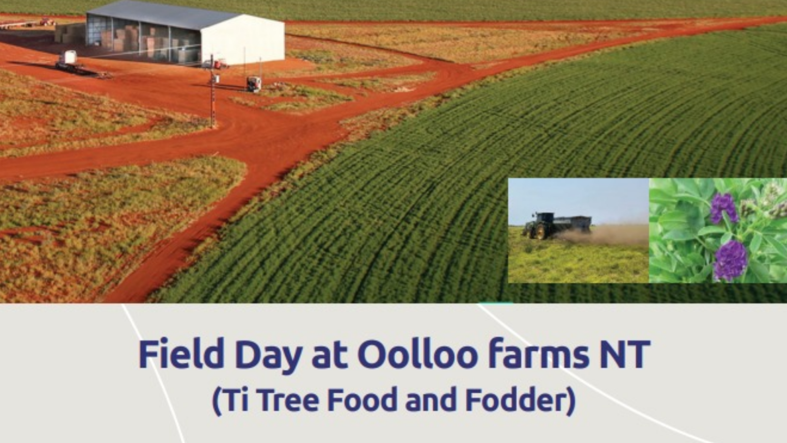 Field Day at Oolloo Farms, NT: Explore Climate Smart Agriculture! | AUSVEG