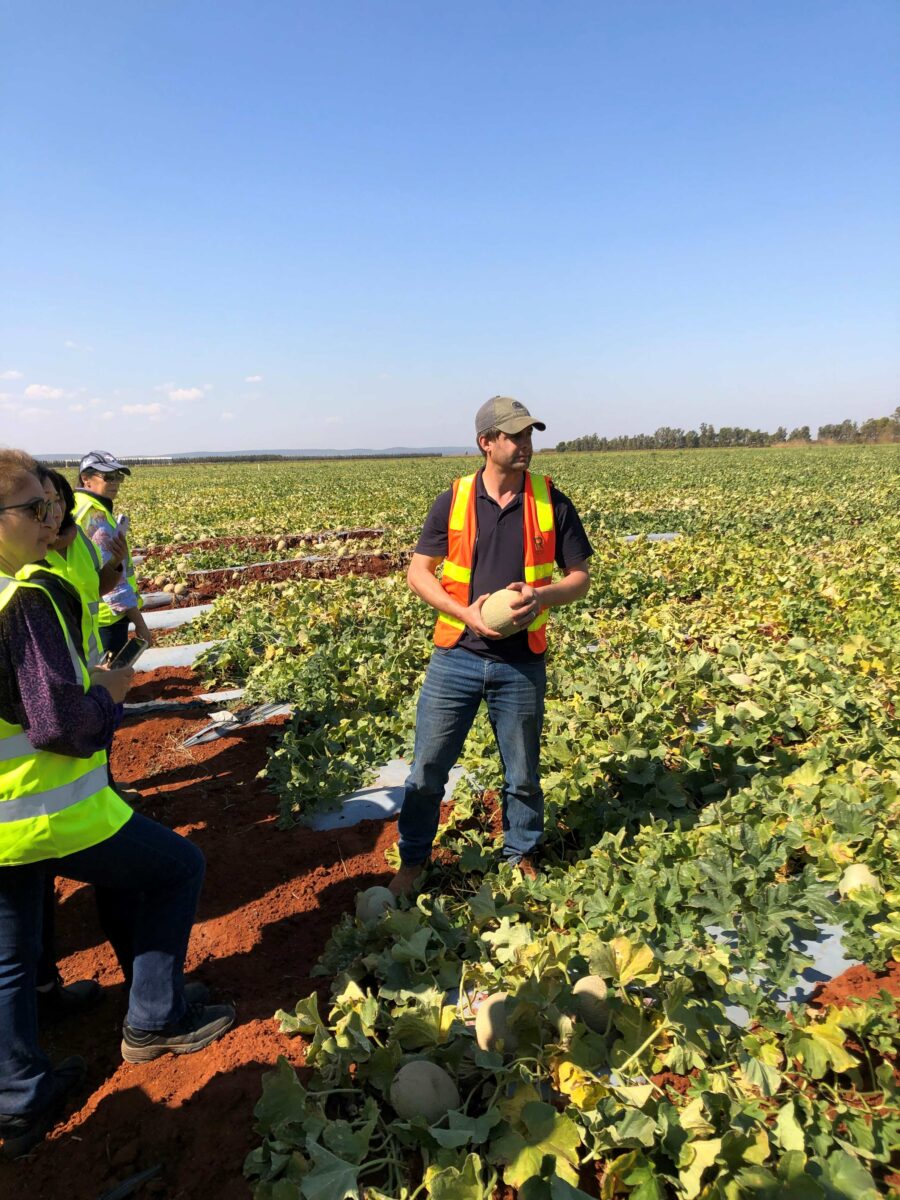 A Harvest of Abundant Knowledge for DAFF | AUSVEG