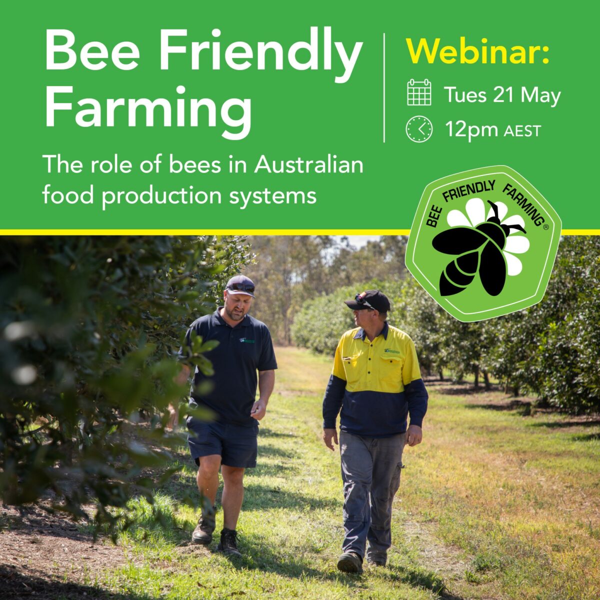 Bee Friendly Farming: The role of bees in Australian food production ...