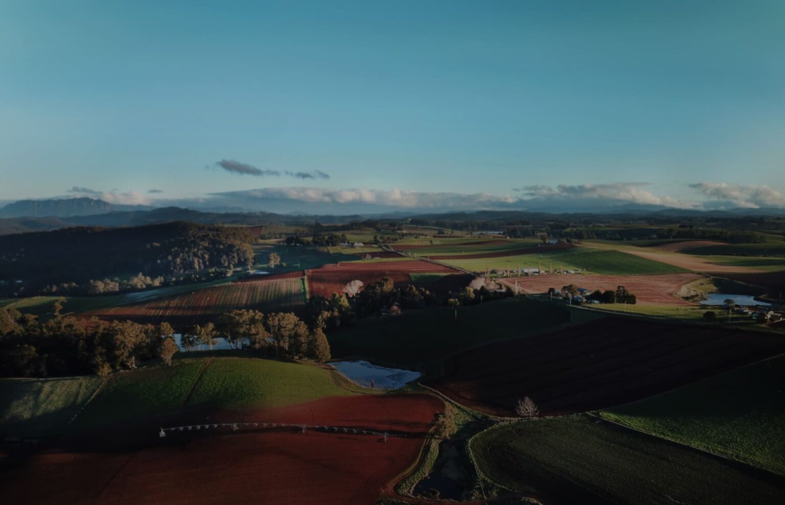 About AUSVEG | AUSVEG