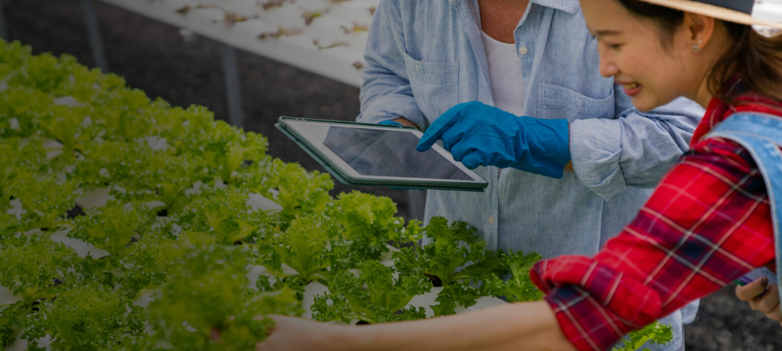 Understanding Codex Crop Groups | Resources for Australian Growers