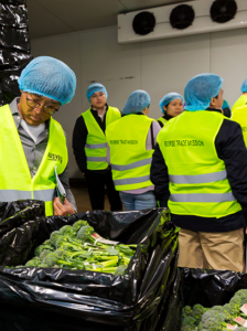 About AUSVEG | AUSVEG