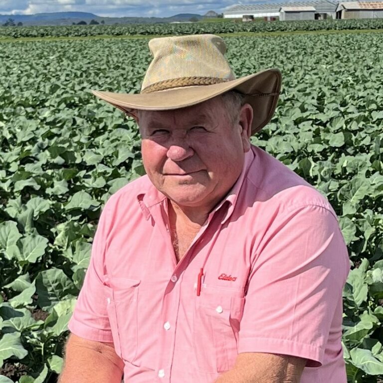 Strategic guidance and innovation at the heart of VegNET - AUSVEG
