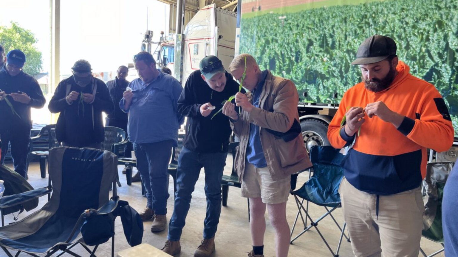 VIC: IPM in Action: Monitor, Manage, Protect | AUSVEG