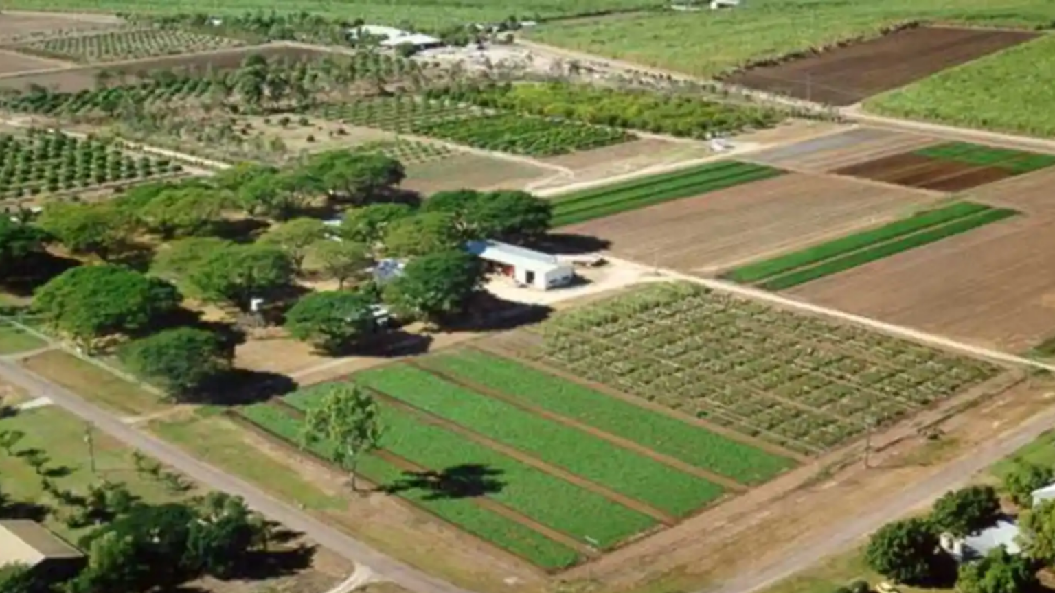 QLD: Cover cropping for soil health and productivity: Preparing for the ...